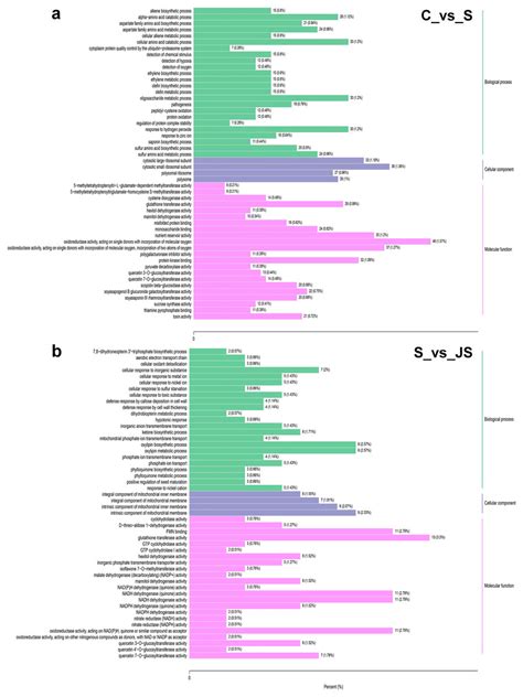 Genome Wide Transcriptomic Analysis Identifies Candidate Genes Involved