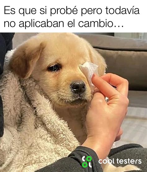 cool testers on twitter y en viernes… 😭😭😭 5s94fwwnvo