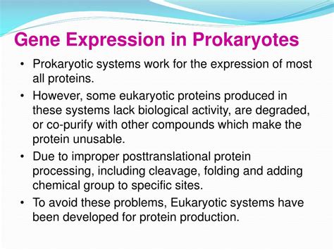 Ppt Heterologous Protein Production In Eukaryotic Cells Powerpoint Presentation Id 4358368