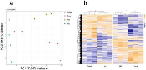 principal component analysis pca and heatmap of log expression