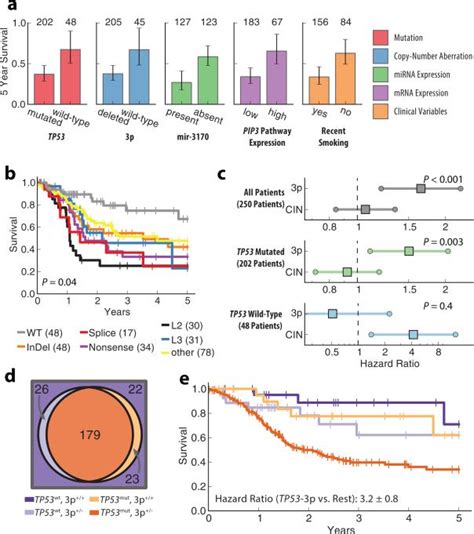Multi Tiered Genomic Analysis Of Head And Neck Cancer Ties Tp53 Mutation To 3p Loss Pmc