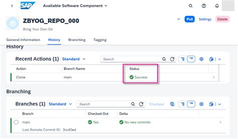 Transport A Software Component Between Two Systems Using Any Git