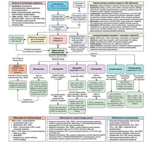 Approach To Leukocytosis Rfoamed911