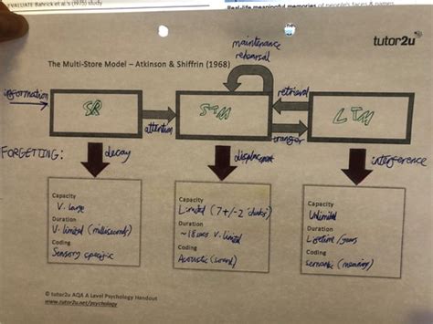 Memory Flashcards Quizlet