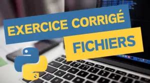 Exercice Corrig Les Fichiers En Python Partie Waytolearnx