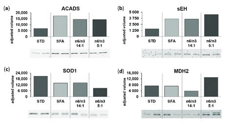 Validation Of Proteomic Data Obtained Using 2 De Combined With Download Scientific Diagram