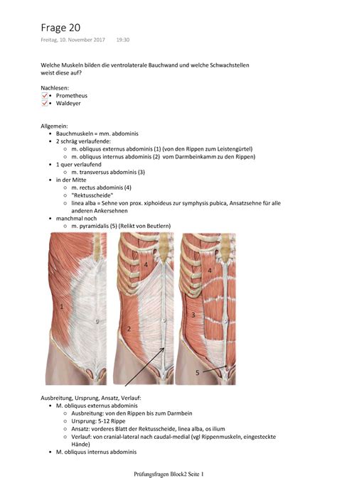 Anatomie_Frage 20 - Warning: TT: undefined function: 32 Warning: TT: undefined function: 32 ...