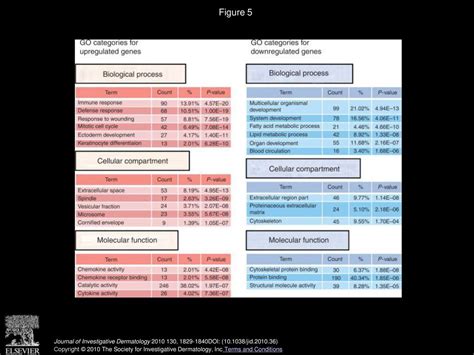 Assessment Of The Psoriatic Transcriptome In A Large Sample Additional