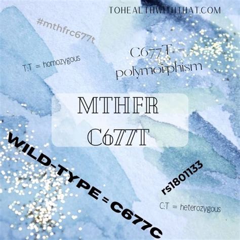Your Mthfr Enzyme Does Work Even With A C677t Mutation Mthfr Mthfr Gene Mutation Enzymes