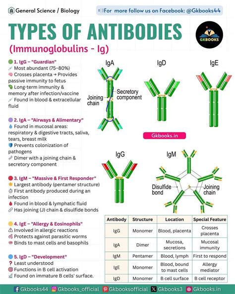Best 13 Difference Between Bactericidal And Bacteriostatic Artofit