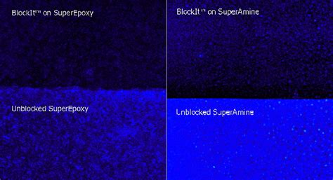Arrayit Corporation Aryc Products Dna Microarrays Microarrays