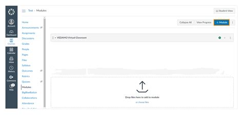Use The Vedamo Vc With An Open Source Installation Of Canvas I Vedamo