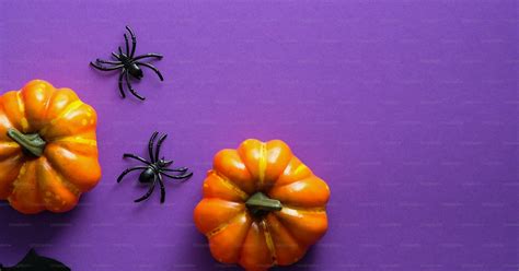 해피 할로윈 휴가 개념입니다 할로윈 장식 호박 보라색 배경에 박쥐 복사 공간이 있는 할로윈 파티 인사말 카드 모형 평평한 누워 평면도 오버 헤드 사진