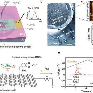 Engineered Multilayer Graphene Sensors With Predictable Sensitivity A Download Scientific