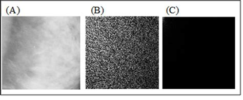 fig 3 mammograms transformed using dct a is the roi b is the