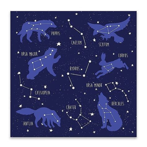 Les Signes Du Zodiaque Sur Fond Bleu Nuit Carte Constellation Art