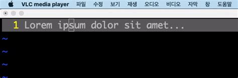 고급 Vim 강좌 With Vim Text Objects