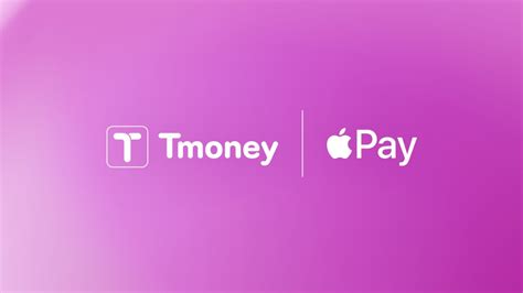 애플 페이 티머니 지원 디자인 나침반