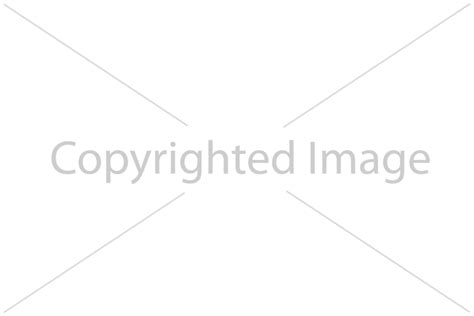 Codeigniter Upload Save Image To Database And Watermark Click
