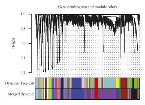 Weighted Gene Coexpression Network Analysis A Sample Cluster B Download Scientific