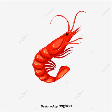 해물 자리 생선 새우 게 Png 일러스트 및 Psd 이미지 무료 다운로드 Pngtree