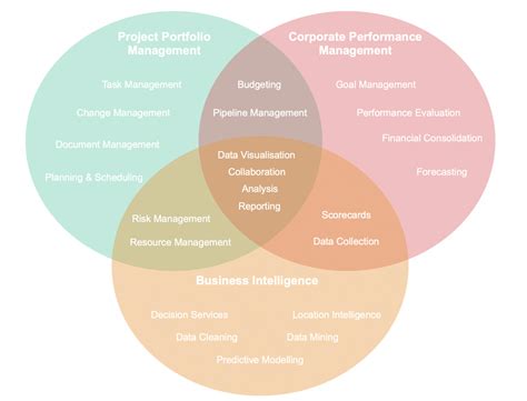 Management Software Ppm Cpm And Bi Whats The Difference Execview