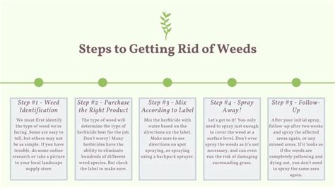 Lawn Appreciation Fall Grass Seeding Presentation Pdf