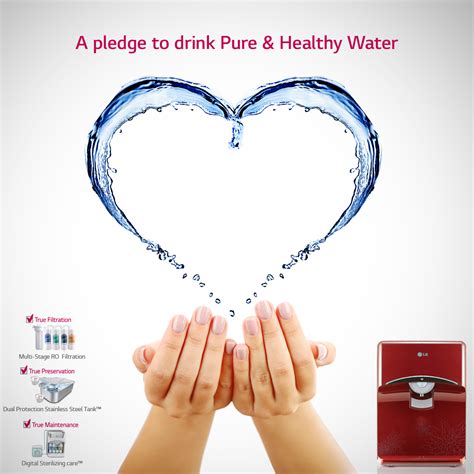 Are You Searching For The Best Water Purifier Artofit