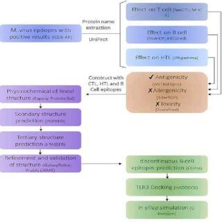 Pipeline Bioinformatic The Color In The Box Represents Congruent Steps Download Scientific