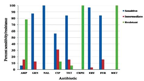 Antibiogram Pattern Of C Jejuni Isolates N32 Amp Ampicillin
