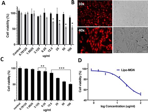 Cell Viability By Mts Assay And Cell Uptake Analysis A Mts Assay Download Scientific Diagram