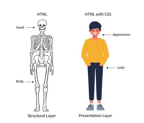 Concept Of Html With Css Using Structure Javascript Junkies