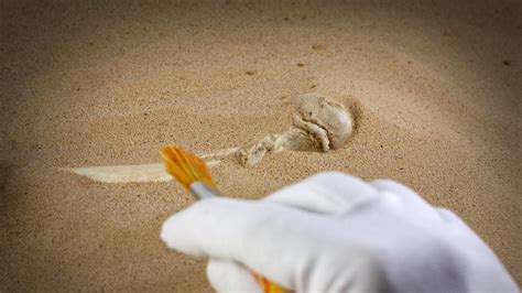 no skeletal remains but scientists retrieve dna of human ancestors