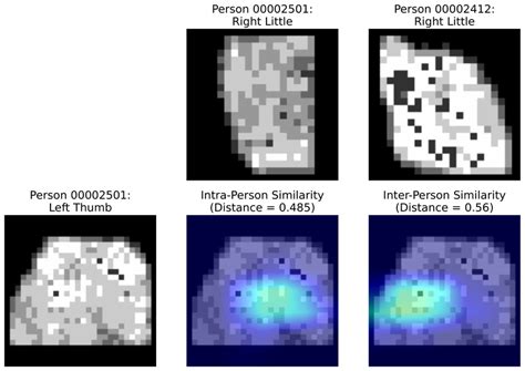 Fingerprint Correlation Creative Machines Lab Columbia University