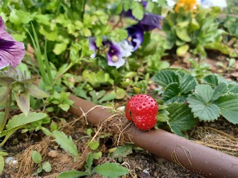 אתם יכולים לדמיין שיחה לאחר ראיון מלחיץ שנפתחת כך ״אתמול היה לך ראיון