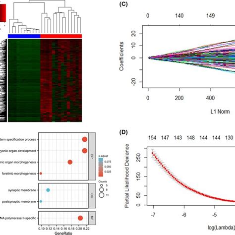 bioinformatics analysis based on the tcga set a heatmap showing the