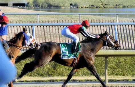 Michael Luzzis Instagram Twitter And Facebook On Idcrawl