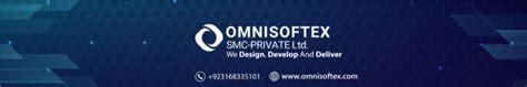omnisoftex inc linkedin
