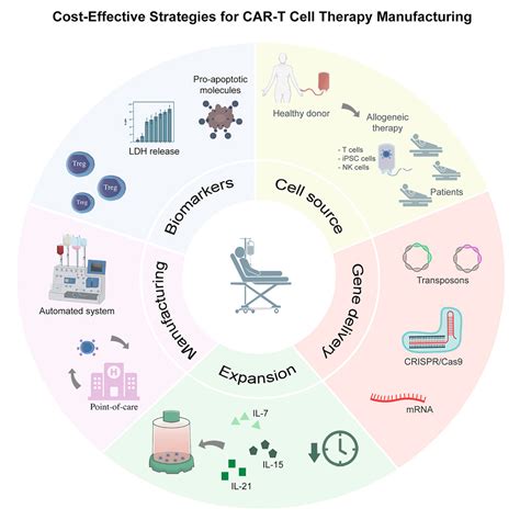 Cost Effective Strategies For Car T Cell Therapy Manufacturing Molecular Therapy Oncology