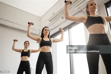 피트니스 스튜디오에서 웨이트 운동을 하는 젊은 여성들 25 29세에 대한 스톡 사진 및 기타 이미지 25 29세 가냘픈