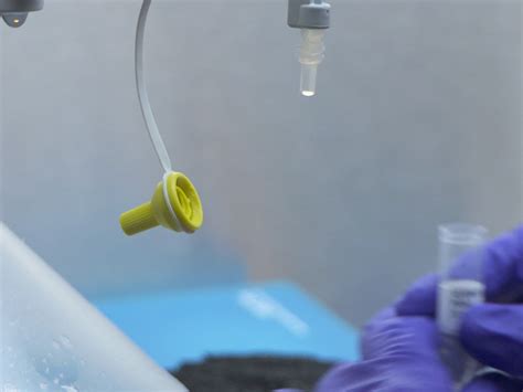 Analysis Of Simian Immunodeficiency Virus Specific Cd8 T Cells In Rhesus Macaques By Peptide