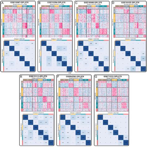 Figure Supplement 1 Subtype Validation Of Seven Datasets From The
