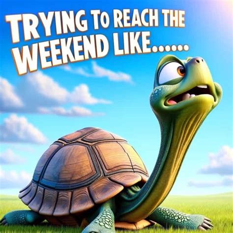 100 Funny Turtle Memes And Ai Turtle Pics The Turtle Hub