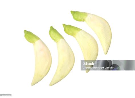 하얀 세스반 아가스타 꽃 하얀 배경에 야채 윙윙 거리는 새 위쪽 보기 0명에 대한 스톡 사진 및 기타 이미지 Istock