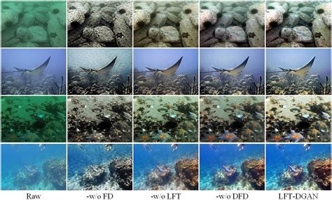 Frontiers A Learnable Full Frequency Transformer Dual Generative Adversarial Network For