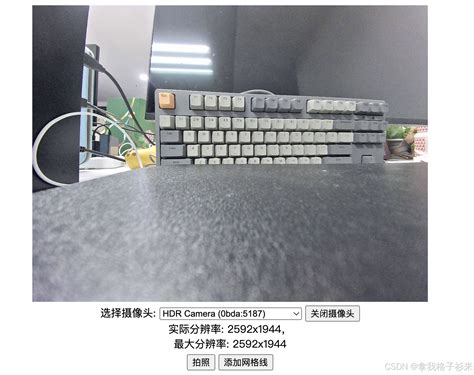 图形编辑器基于paper js教程28：在web中获取摄像头视频流需要注意，在canvas 上处理图片需要注意的情况 web视频流特定区域点选