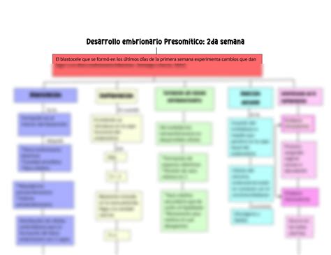 SOLUTION: Mapa conceptual desarrollo embrionario - Studypool
