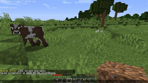 Im Facing Problem In Minecraft Java 1161 Opengl 1282 Invalid