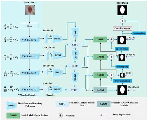 Sgnet A Structure Guided Network With Dual Domain Boundary Enhancement And Semantic Fusion For