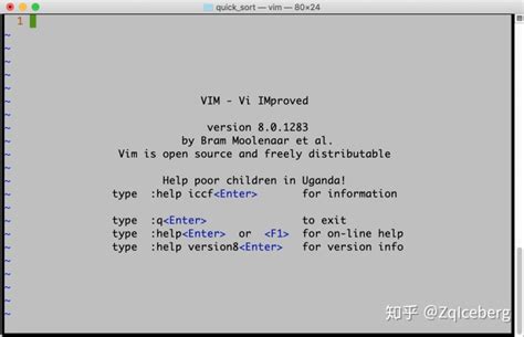 mac vim 保存退出 macos下使用vim编写c 代码的方法 csdn博客
